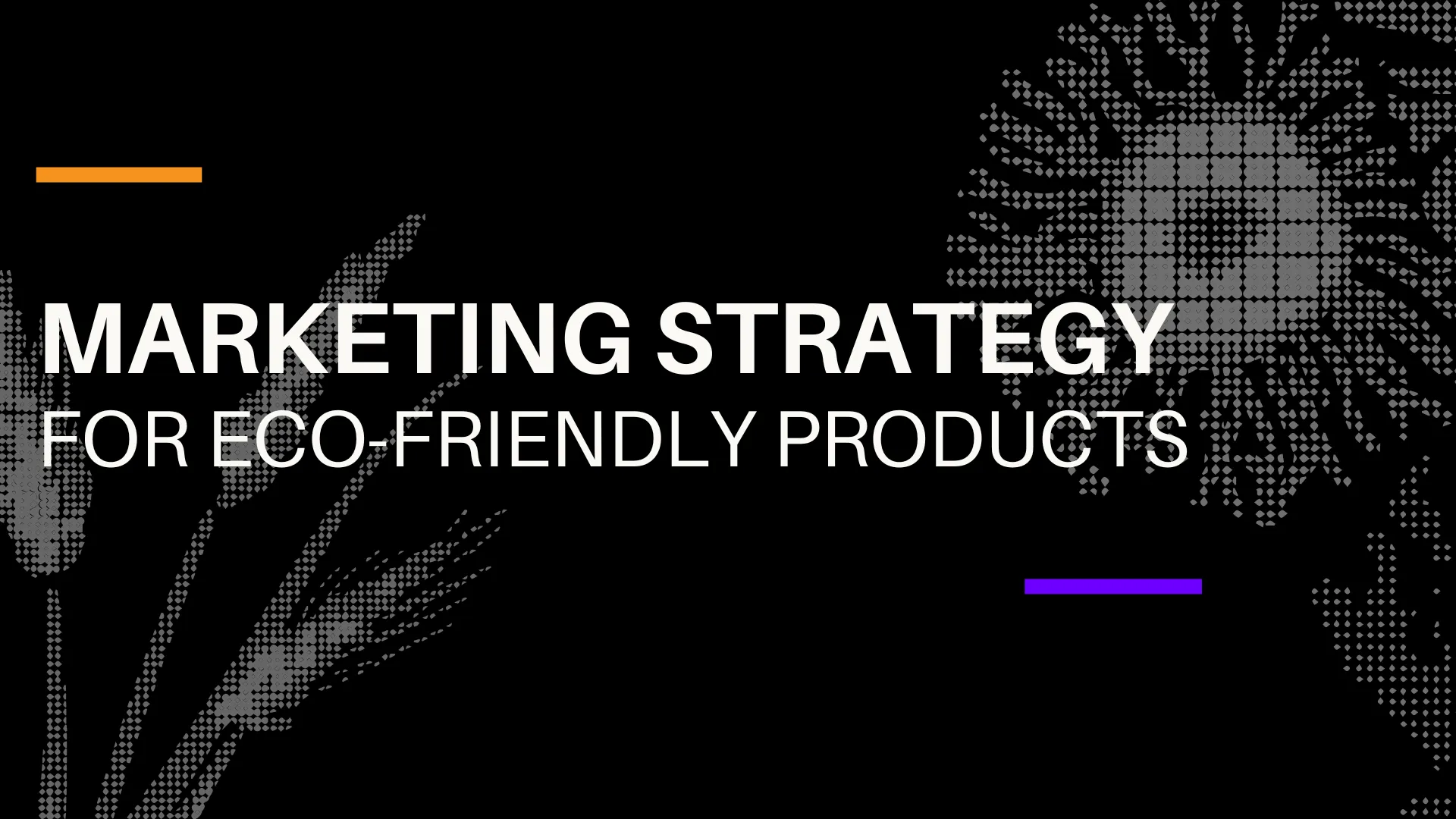 Developing an Effective Marketing Strategy for Eco-Friendly Products ...
