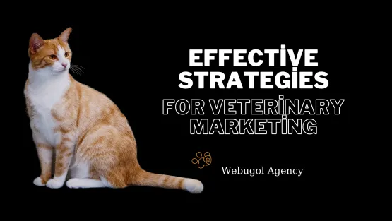 Effective Strategies for Veterinary Marketing - Webugol